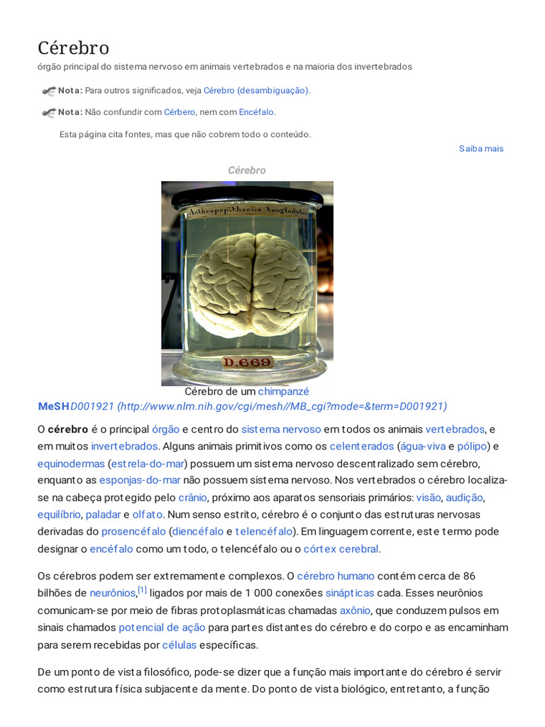Cérebro - Wikipédia, A Enciclopédia Livre | PDF | Cérebro | Neurônio