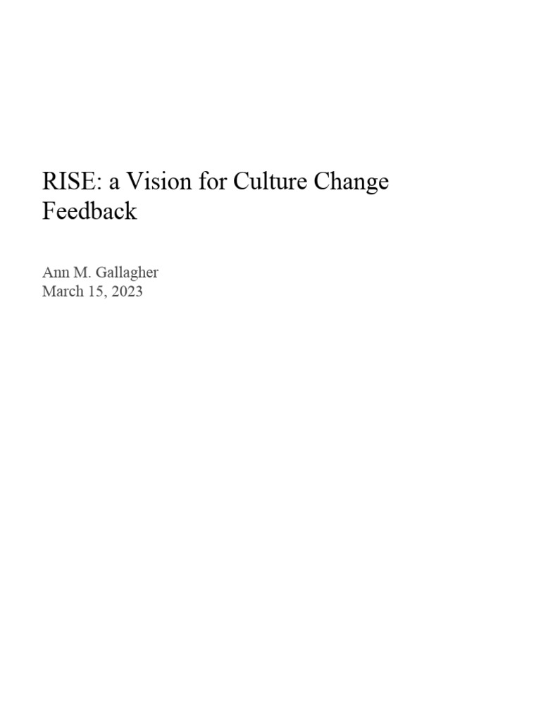 RISE Feedback FINAL DRAFT | PDF | Employee Retention | Leadership