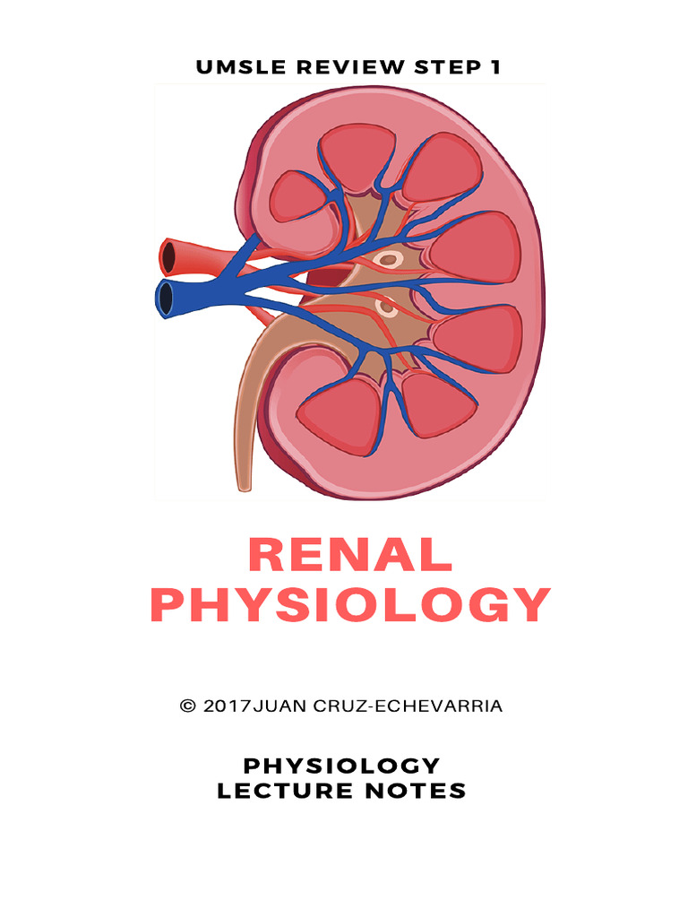 Renal Physiology Juan Notes | PDF | Kidney | Urinary System