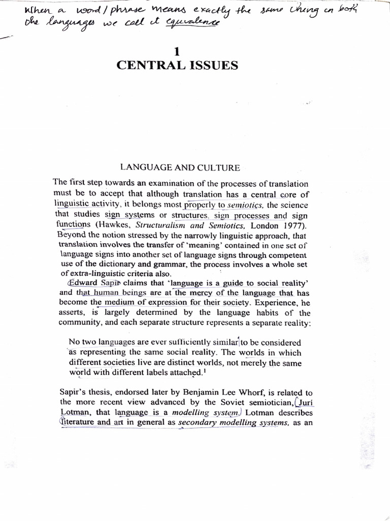 Central Issues | PDF | Translations | Idiom