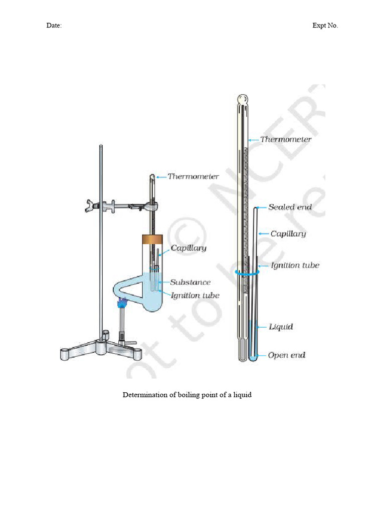 I - PU - Boiling Point | PDF | Science & Mathematics