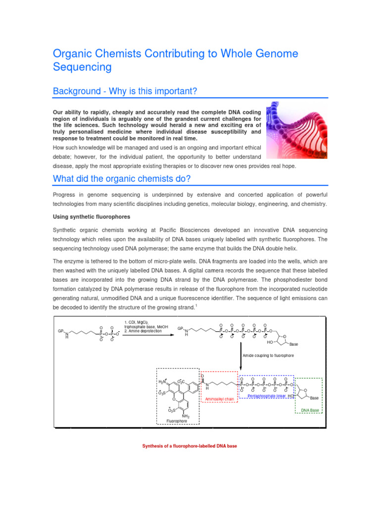 Lecture 4 Genome Sequencing | PDF | Dna Sequencing | Nucleic Acid Sequence