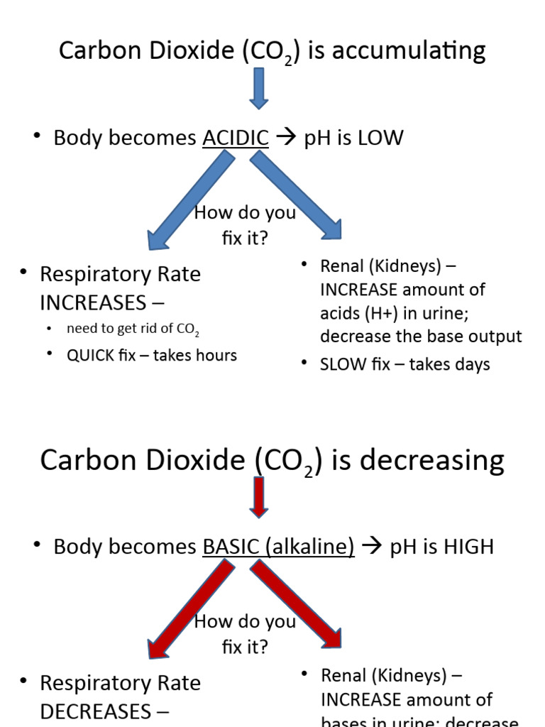 Ap2 ch26 Flow Chart Acid Base | PDF