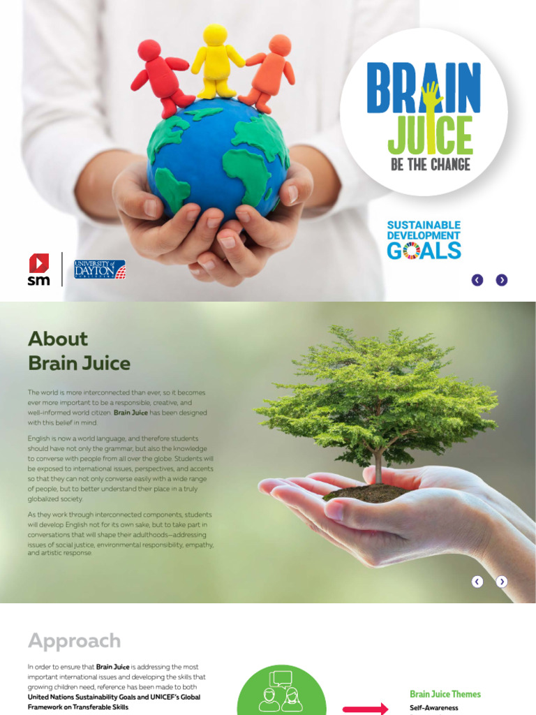 Primaria Brain Juice | PDF | Behavior Modification | Learning