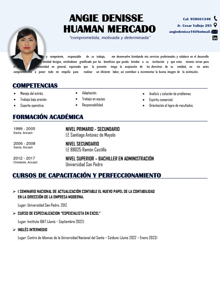 Curriculum Documentado | PDF | Bancos | Microsoft