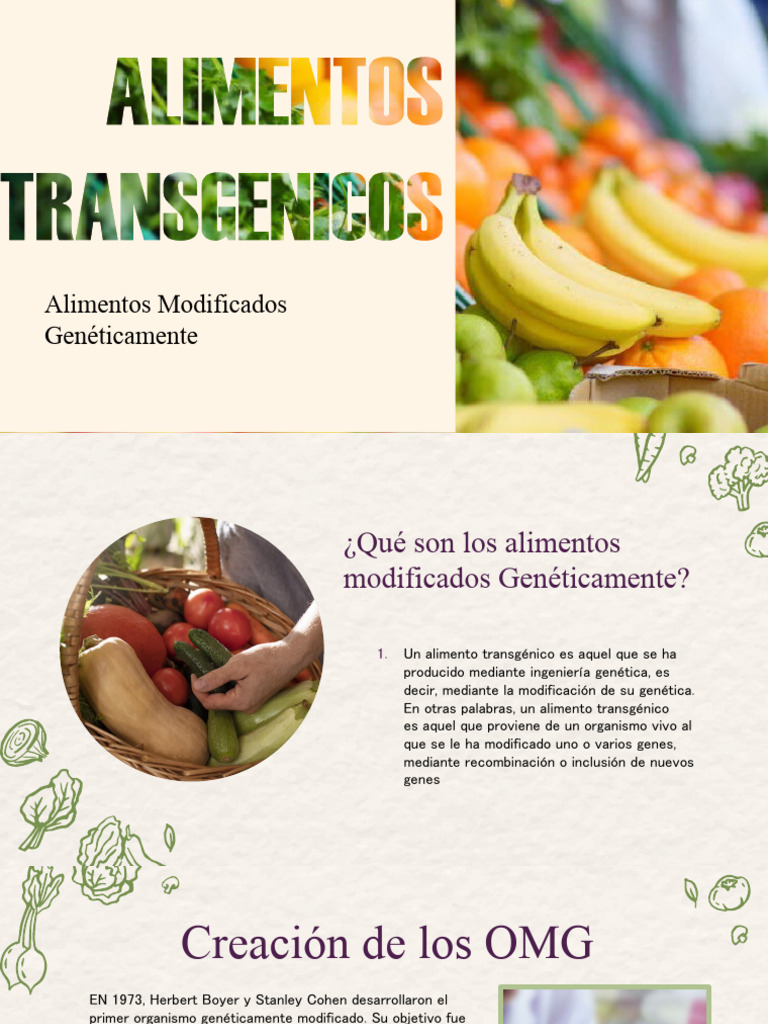 Alimentos OMG | PDF | Organismo genéticamente modificado | Comida ...