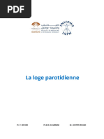 Anatomie et fonction de la parotide | PDF | Anatomie | Anatomie humaine