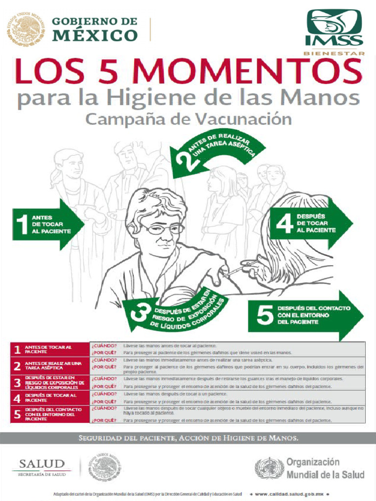 Cartel 5 Momentos SNS Lavado de Manos | PDF
