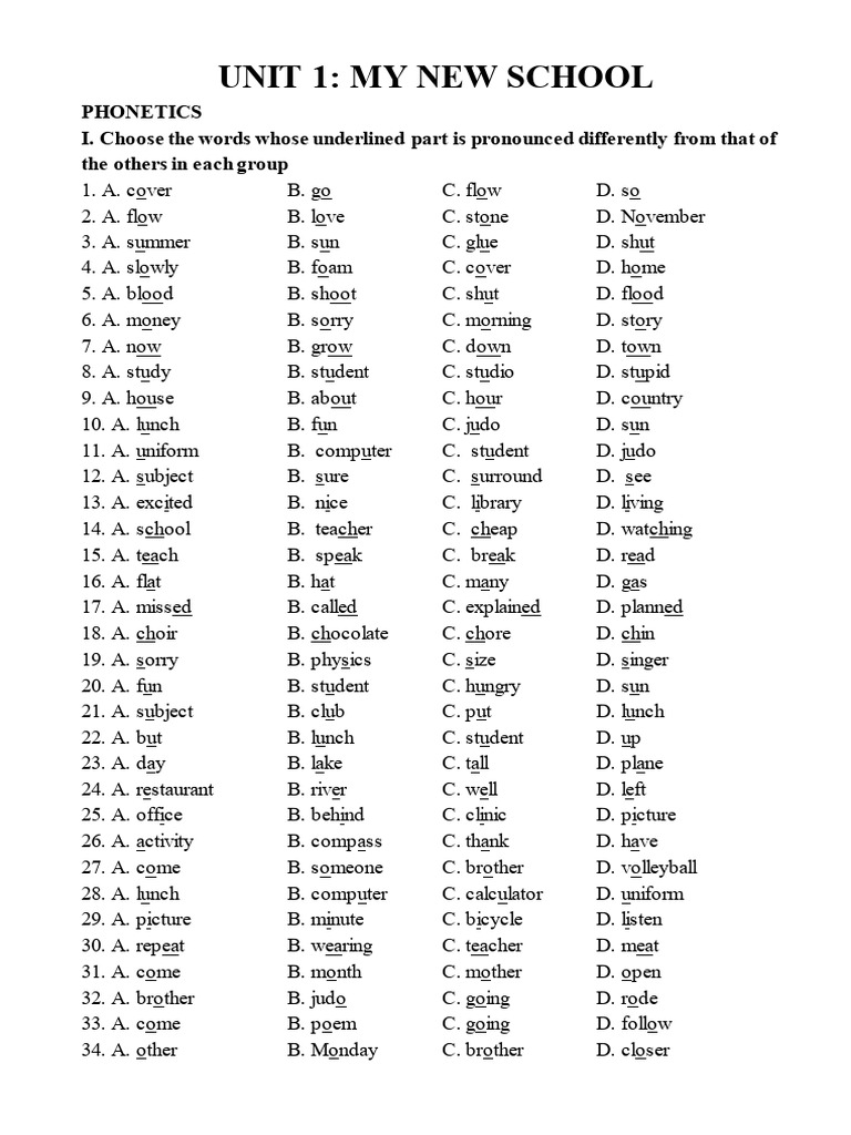 Unit 1 L P 6 Làm Thêm | PDF