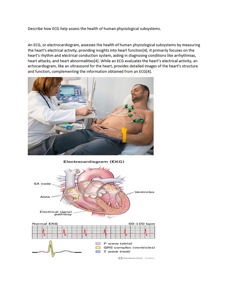Human Anatomy Assignment | PDF | Cell Signaling | Senses