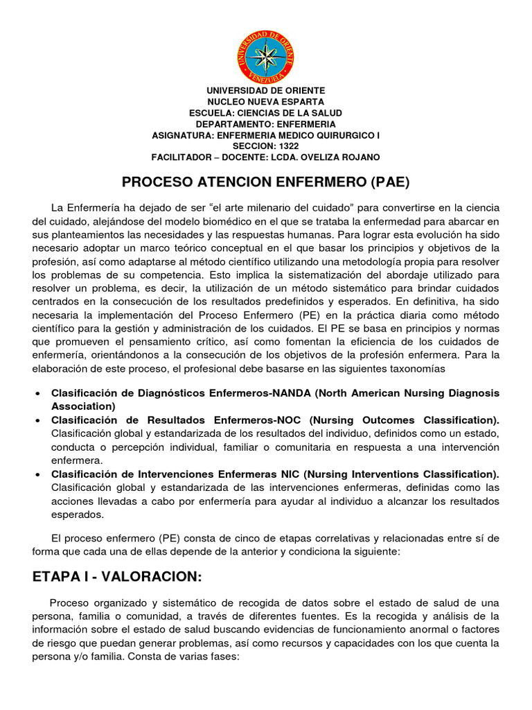 1 - Proceso Atencion Enfermero (Pae) - Valoracion | PDF | Heces | Dormir