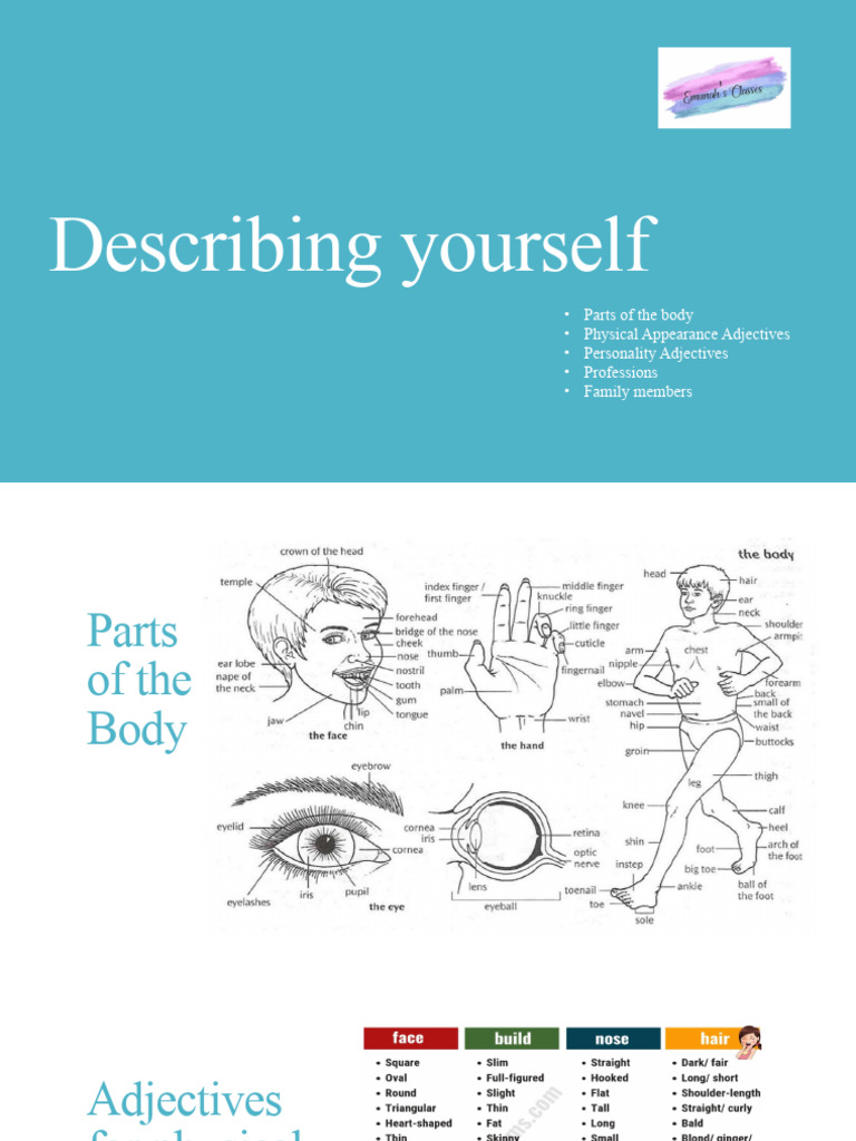 Describing Yourself, Professions, Fam. Members, Clothes | PDF | Grandparent | Stepfamily