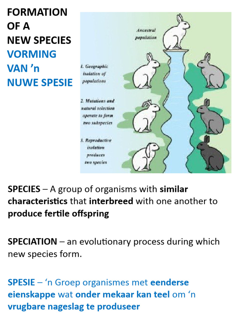 29 Formation of A New Species-3 | PDF | Species | Hybrid (Biology)