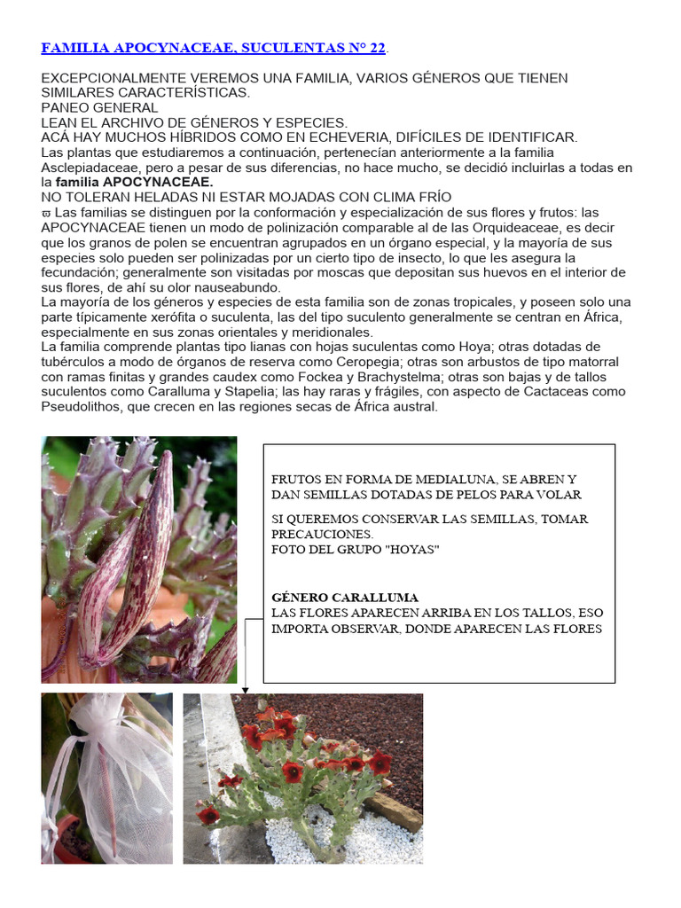 Apocynacea - Suculentas | PDF | Botánica | Plantas