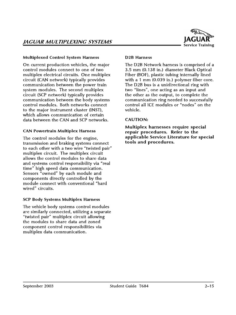 Multiplex Systems | PDF