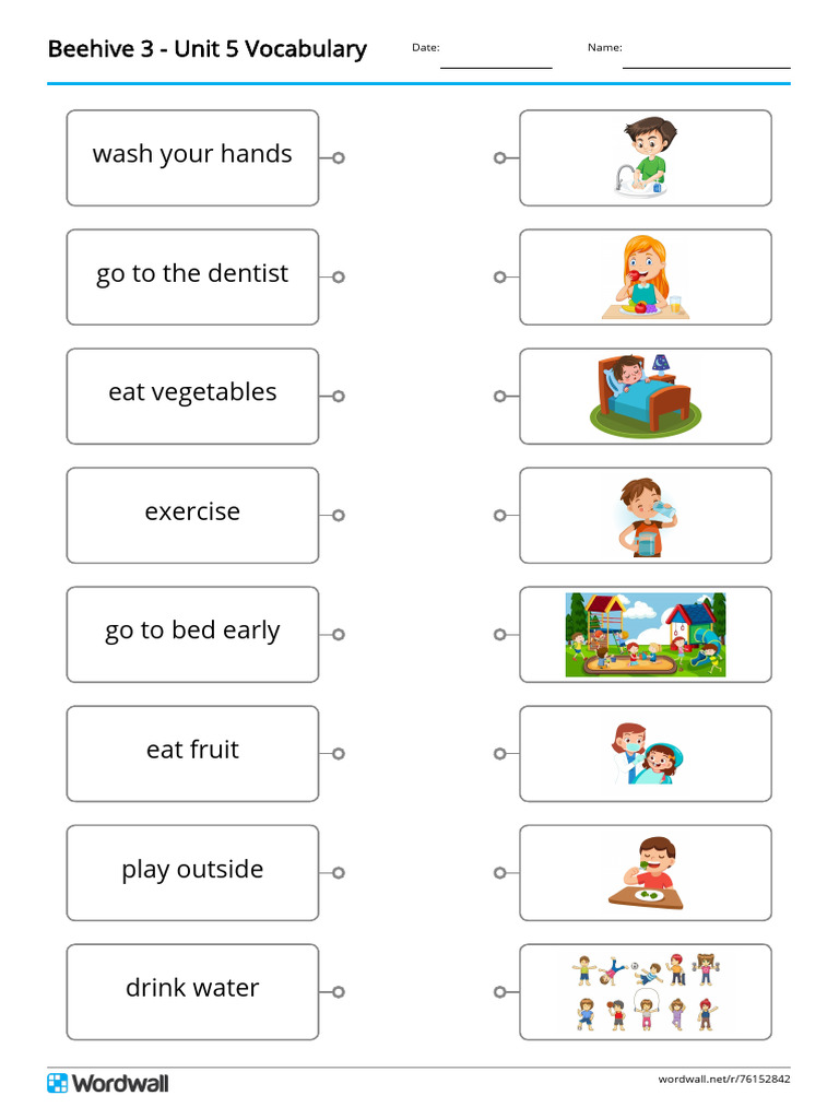 Beehive 3 Unit 5 Vocabulary Match Up | PDF | Home & Garden