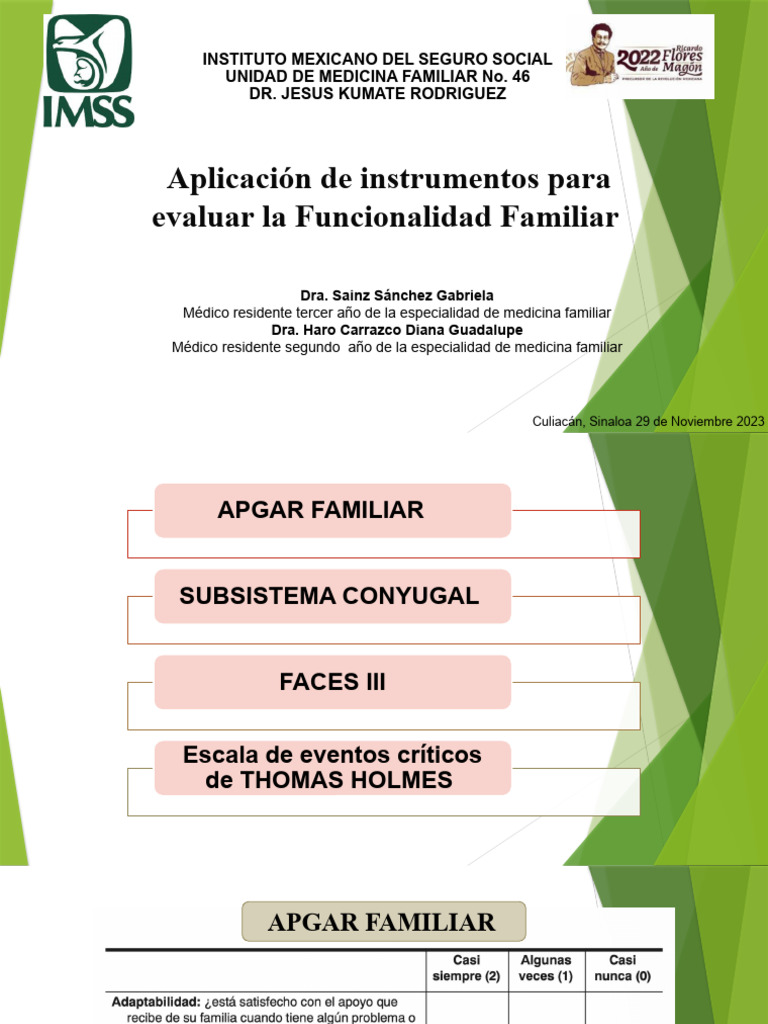 Aplicacion de Instrumentos de Evaluacion Familiar | PDF | Ansiedad | Depresión (estado de ánimo)
