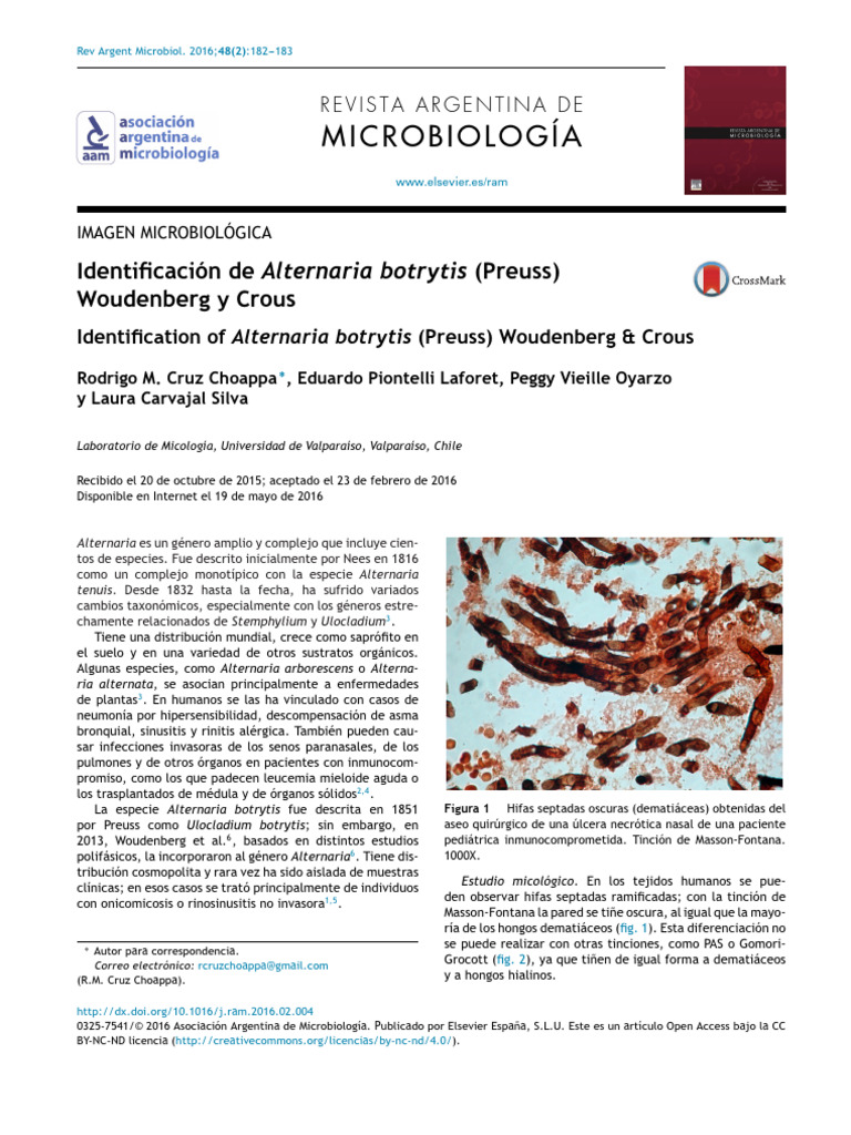 Identificación de Alternaria botrytis | PDF | Enfermedades y trastornos ...