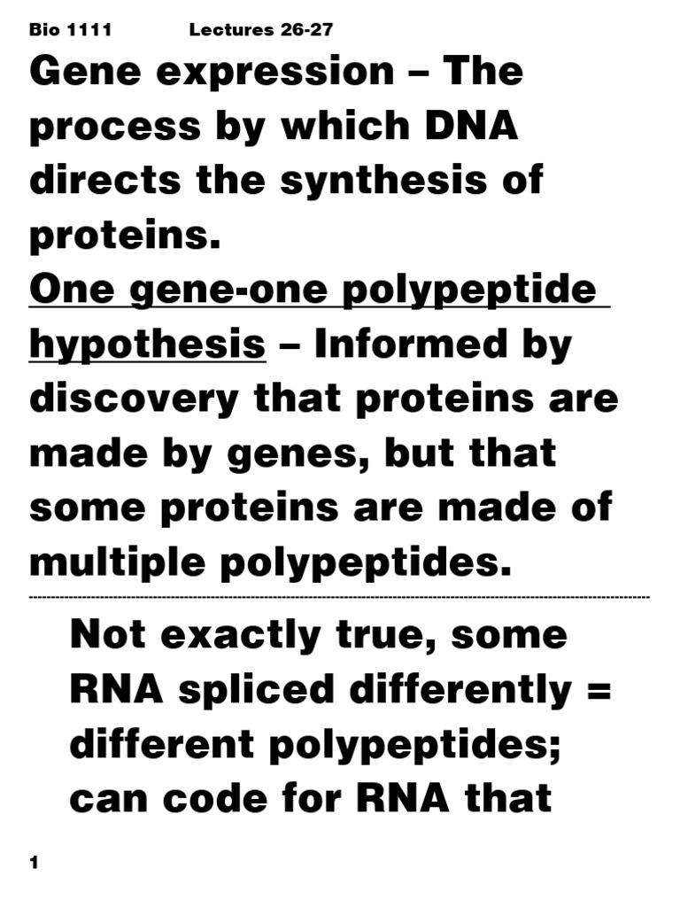 Lectures 26 To 27 - Gene Expression | PDF | Translation (Biology) | Rna