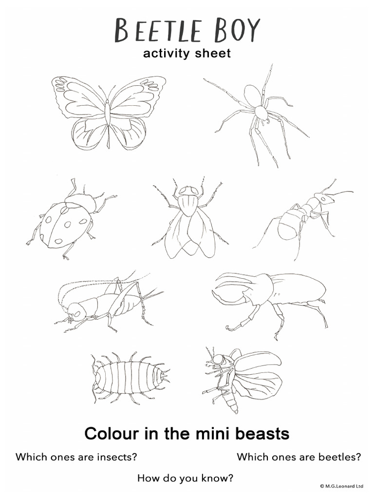 Beetle Boy Activity Sheet 1497169 | PDF