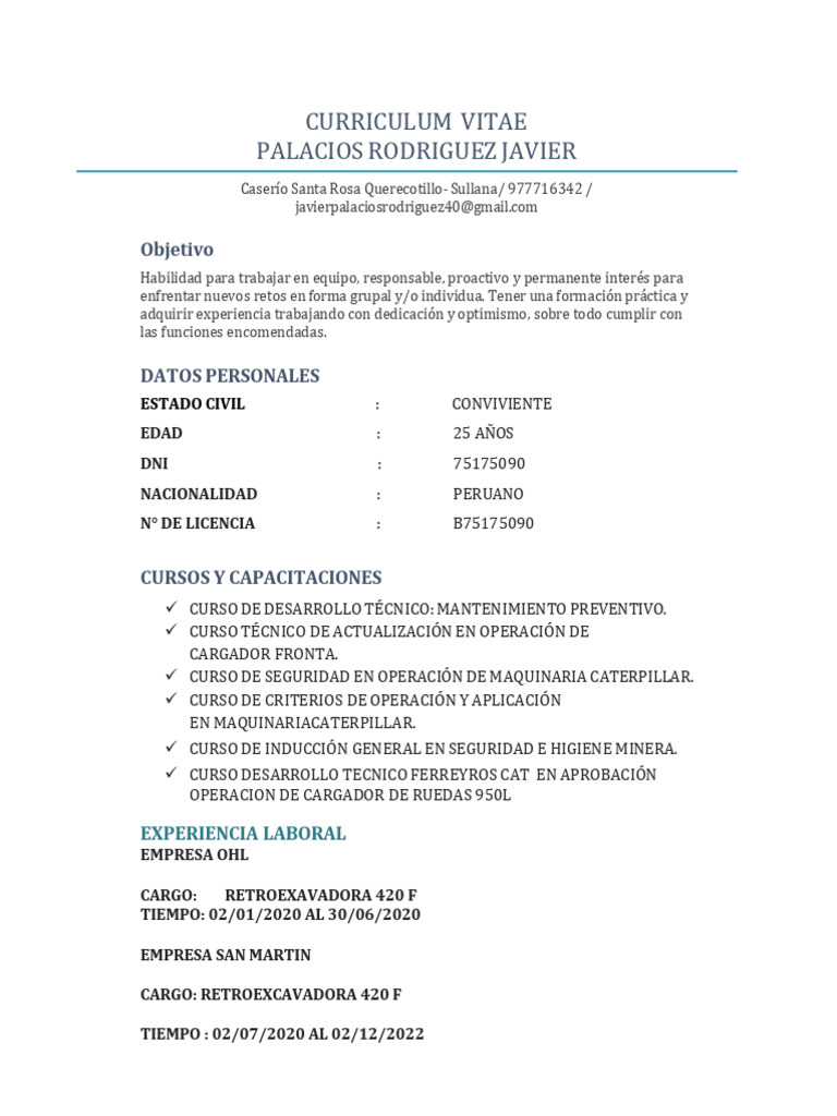 Curriculum Vitae - Palacios Rodriguez Actualizado Mayo-2 | PDF