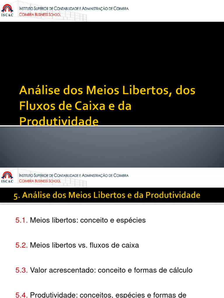 AF05 - Meios Libertos Fluxos e Produtividade - 20 21 | PDF | Valor ...