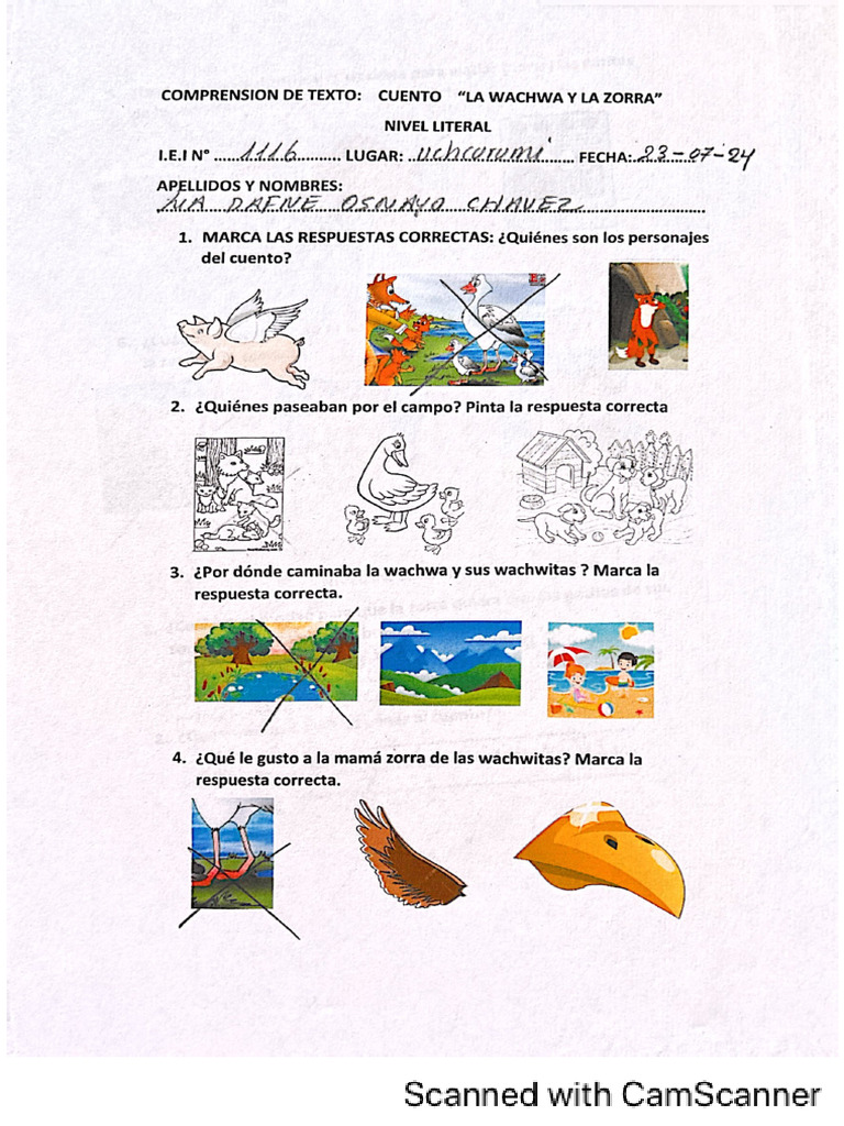 Ficha de Comprension Lectora | PDF