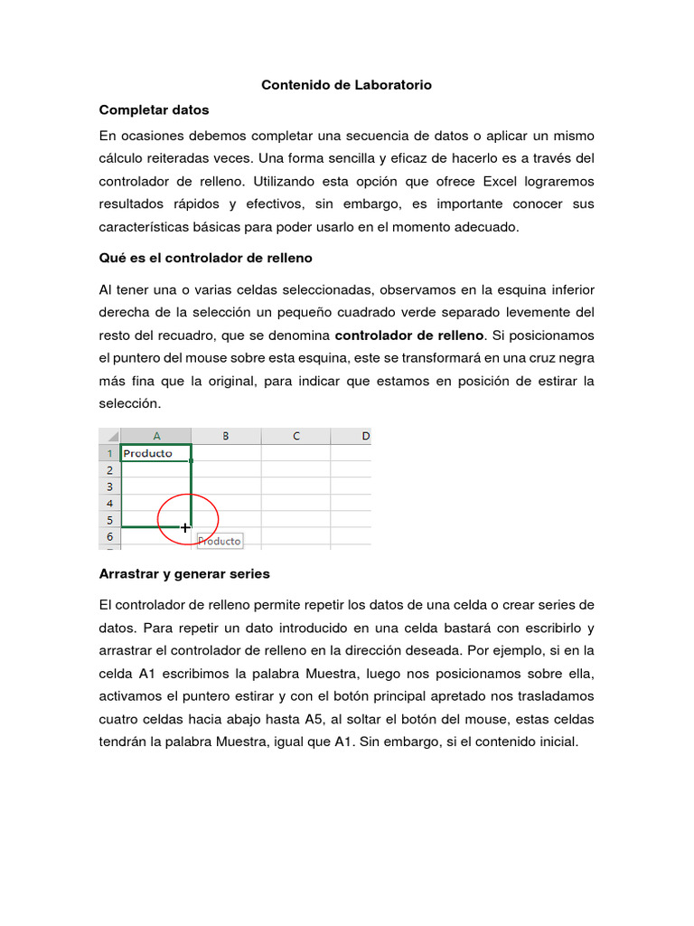 Laboratorio de Informática | PDF | Microsoft Excel | Fórmula