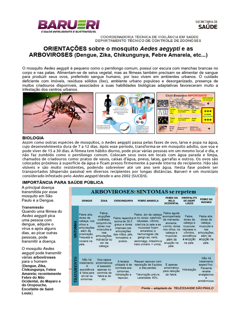 MOSQUITOS-Aedes Aegypti PMB2021-SS | PDF | Aedes aegypti | Mosquito
