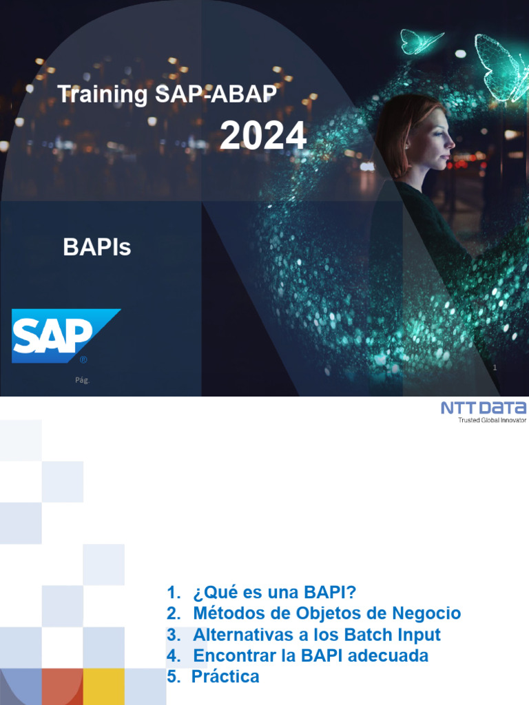 BAPIs | PDF | Informática | Ciencias de la Computación