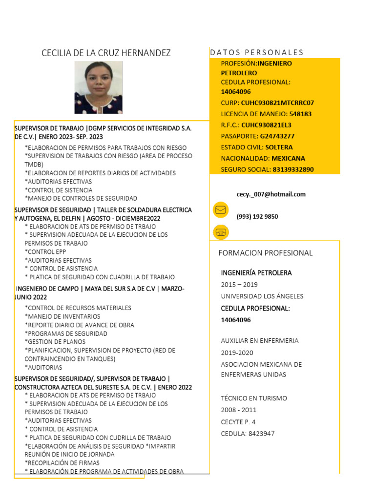 CV Cecilia de La Cruz 2024 | PDF