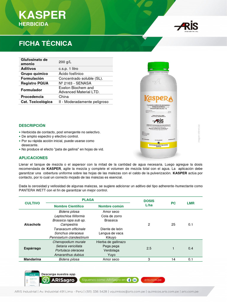 FT Kasper | PDF | Hierba | Plantas