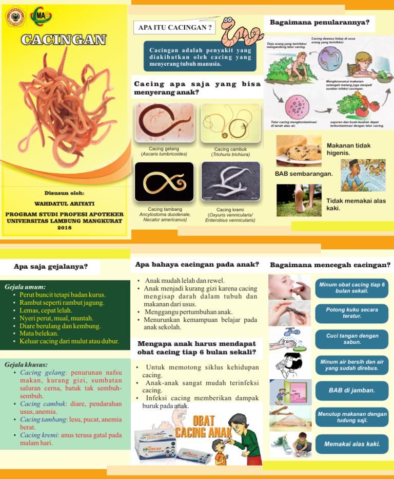 Cacingan pada Anak: Gejala dan Pencegahan | PDF