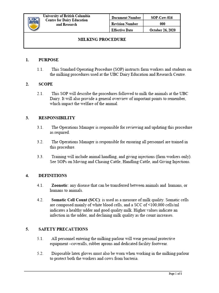 SOP Cow 016 Milking Procedure | PDF | Dairy Cattle | Animals And Humans