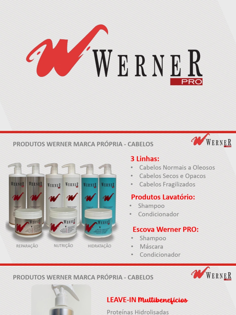 Produtos e Protocolos Werner PRO 2023 | PDF | Cabelo