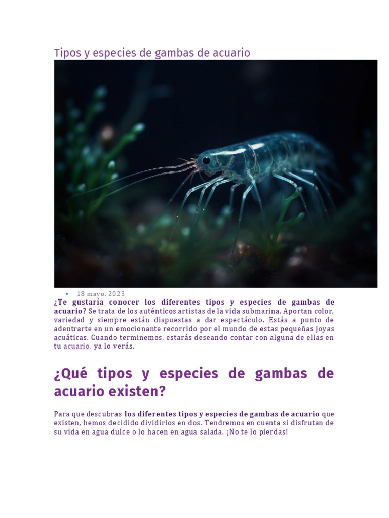 Tipos y Especies de Gambas de Acuario | PDF | Acuario