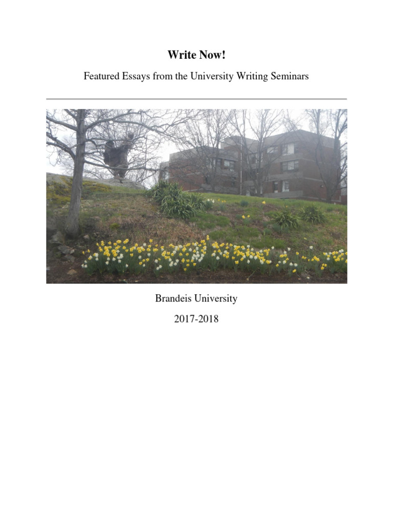 Lens Essay Examples | PDF | Essays | Angel