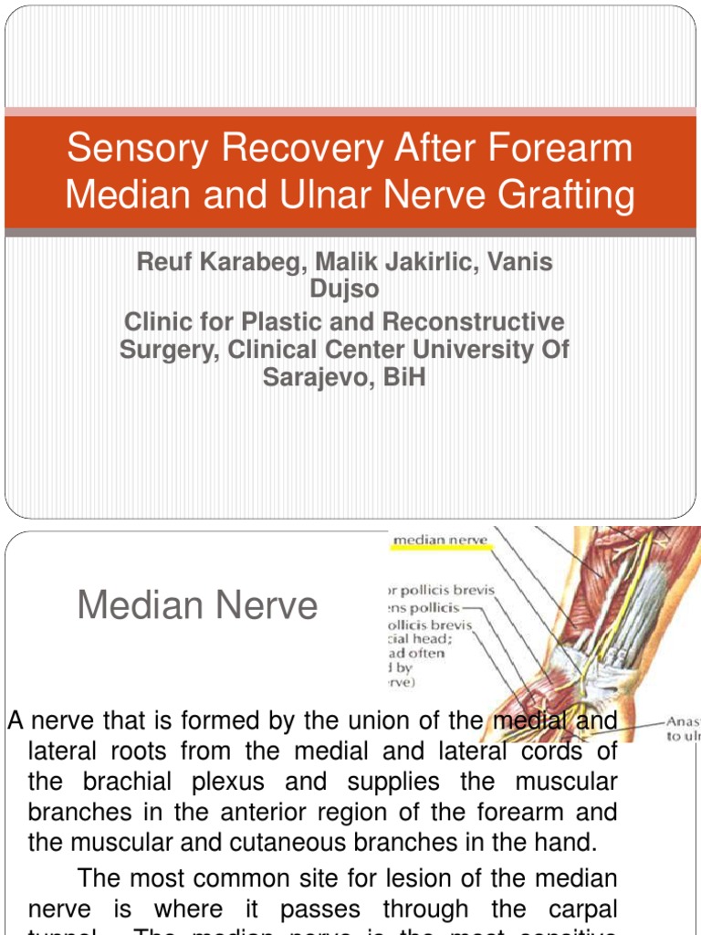 Sensory Recovery After Forearm | PDF | Neuroscience | Neurology