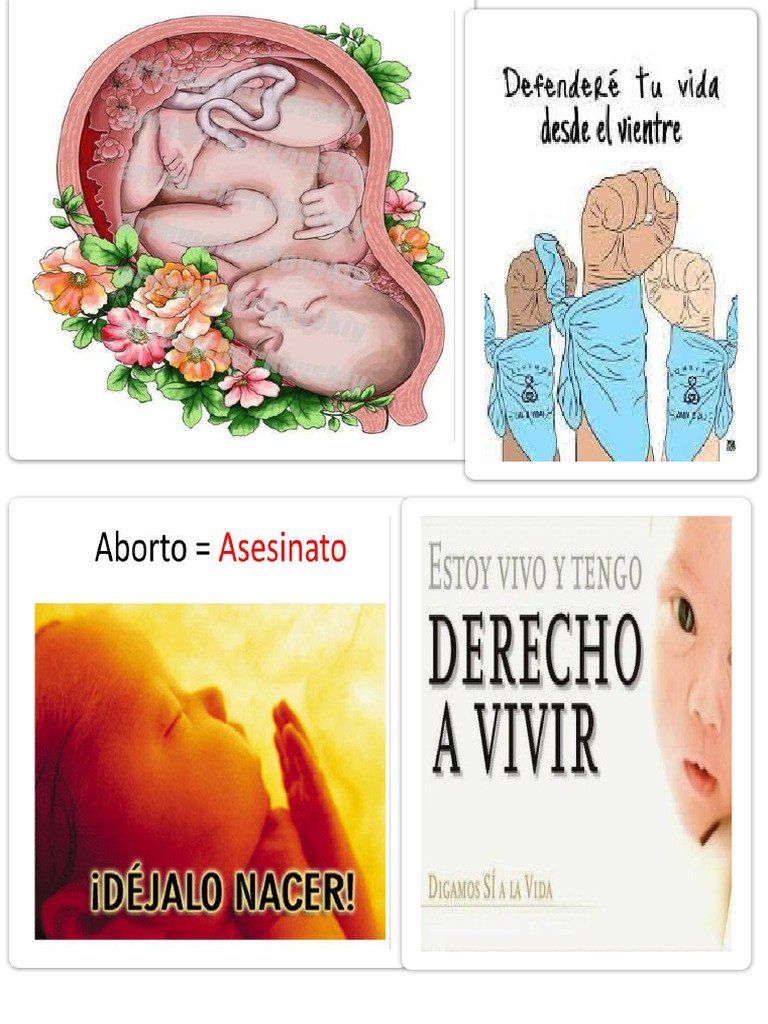 Dibujo Pro-Vida | PDF