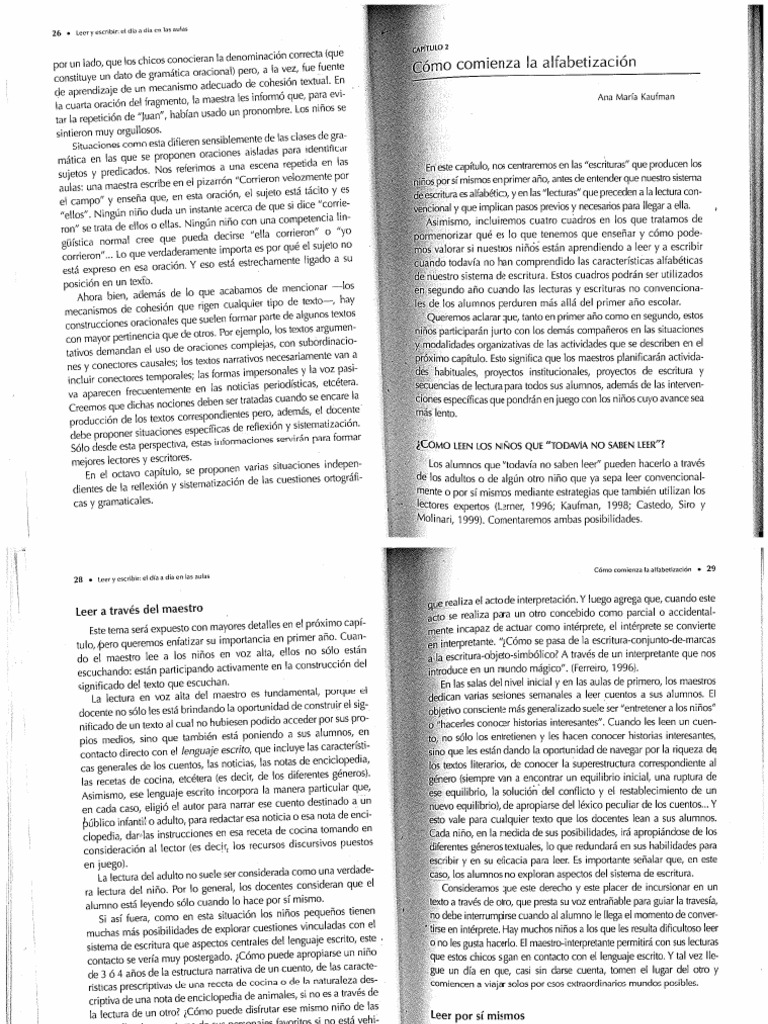 KAUFMAN. Leer y Escribir. El Día A Día en Las Aulas (SELECCIÓN LECTURA ...