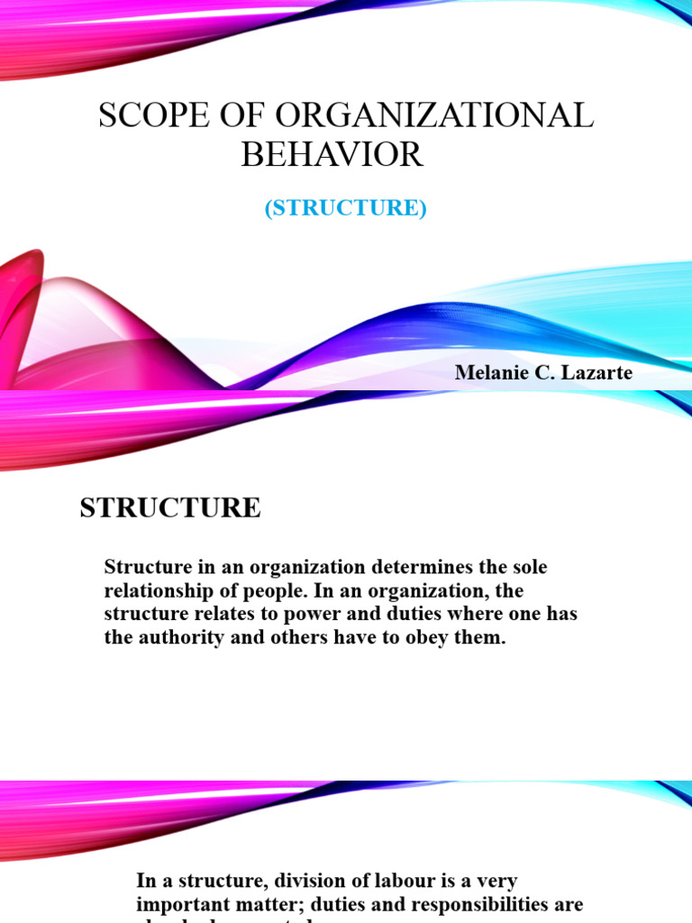 Scope of Oganizational Behavior Structure Report | PDF