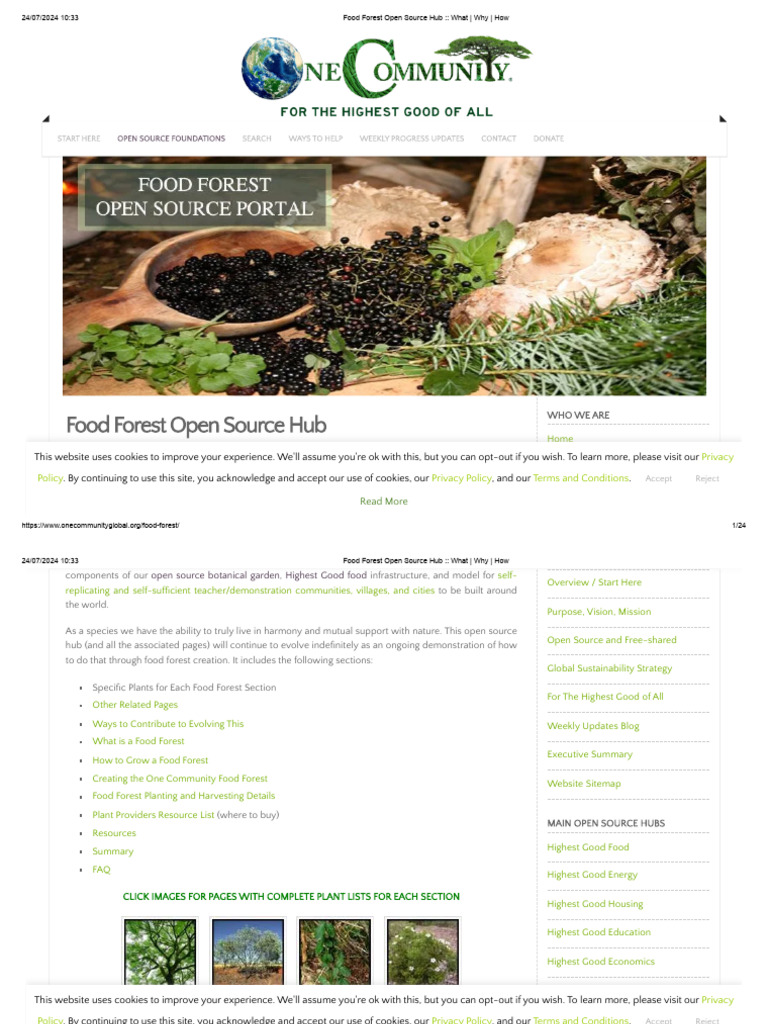 Food Forest Open Source Hub - What - Why - How | PDF | Vegetables | Trees