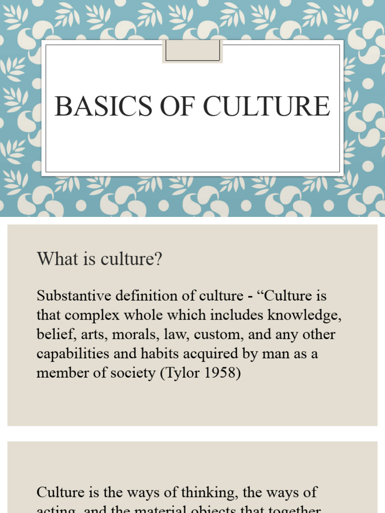 Basics of Culture | PDF | Society | Thought