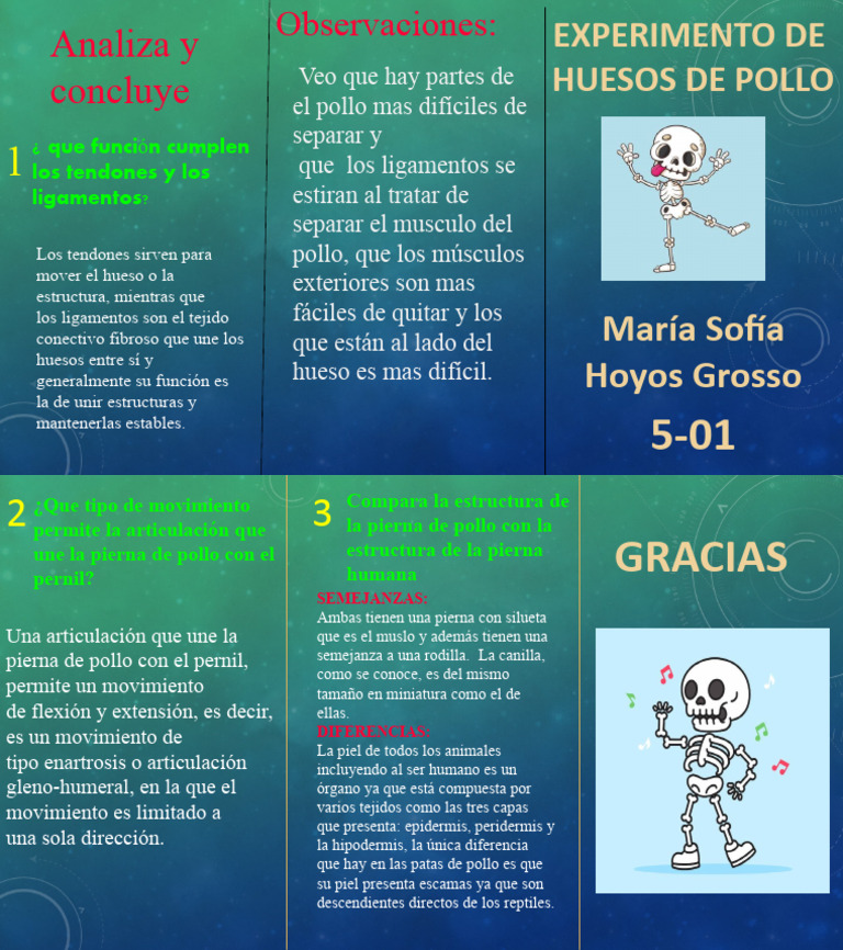 QWERTYUIOP | PDF | Articulación | Piel