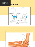 Elbow Goniometry Techniques and ROM | PDF
