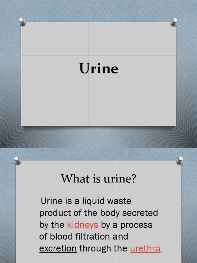 Urine | PDF | Urine