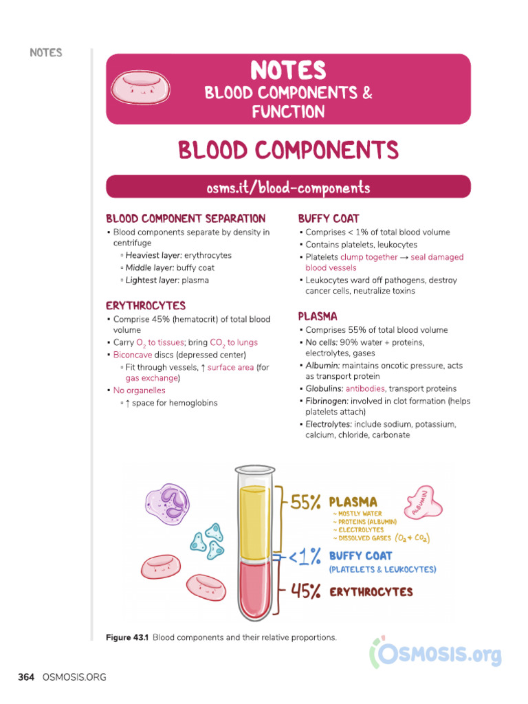 Coagulation (Secondary Hemostasis) - Video & Anatomy - Osmosis | PDF