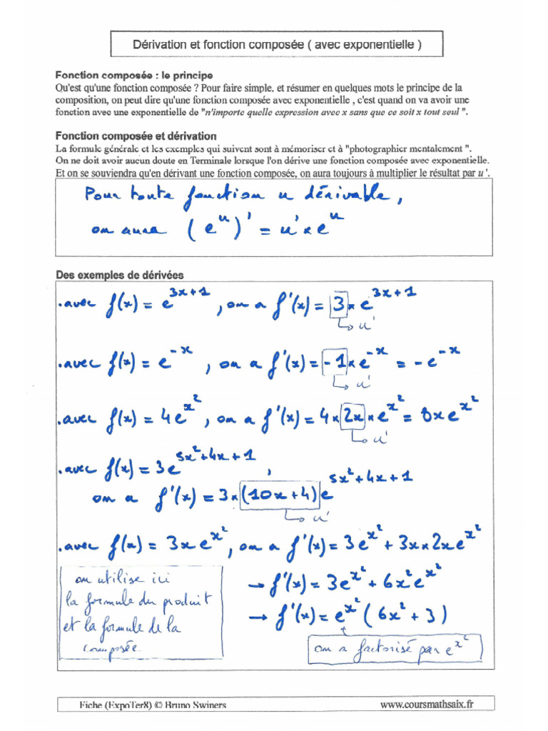 Derivee Et Fonction Composee Avec Exponentielle | PDF