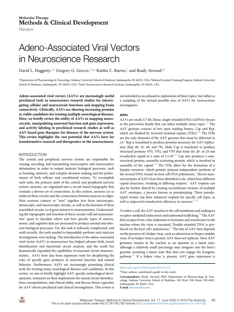 Adeno-Associated Viral Vectorsin Neuroscience Research | PDF | Viral ...