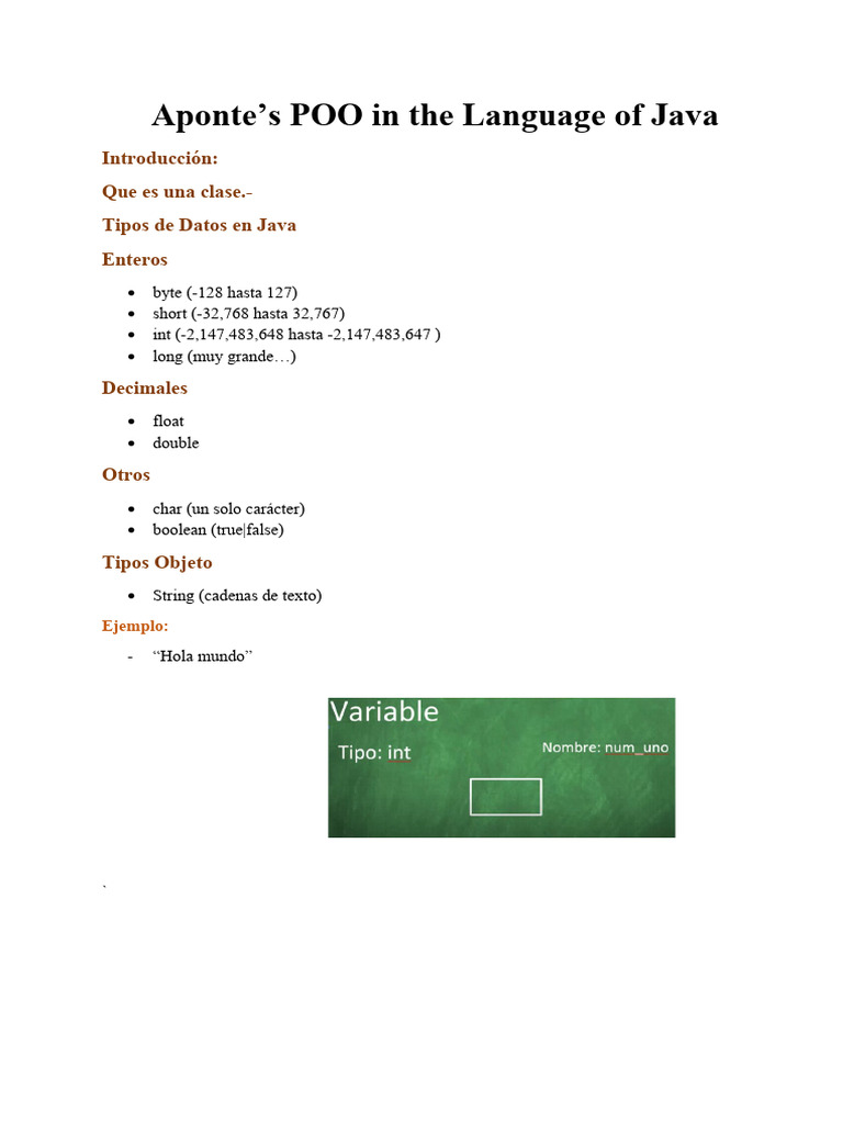 Apuntes de Programacion Poo | PDF | Informática